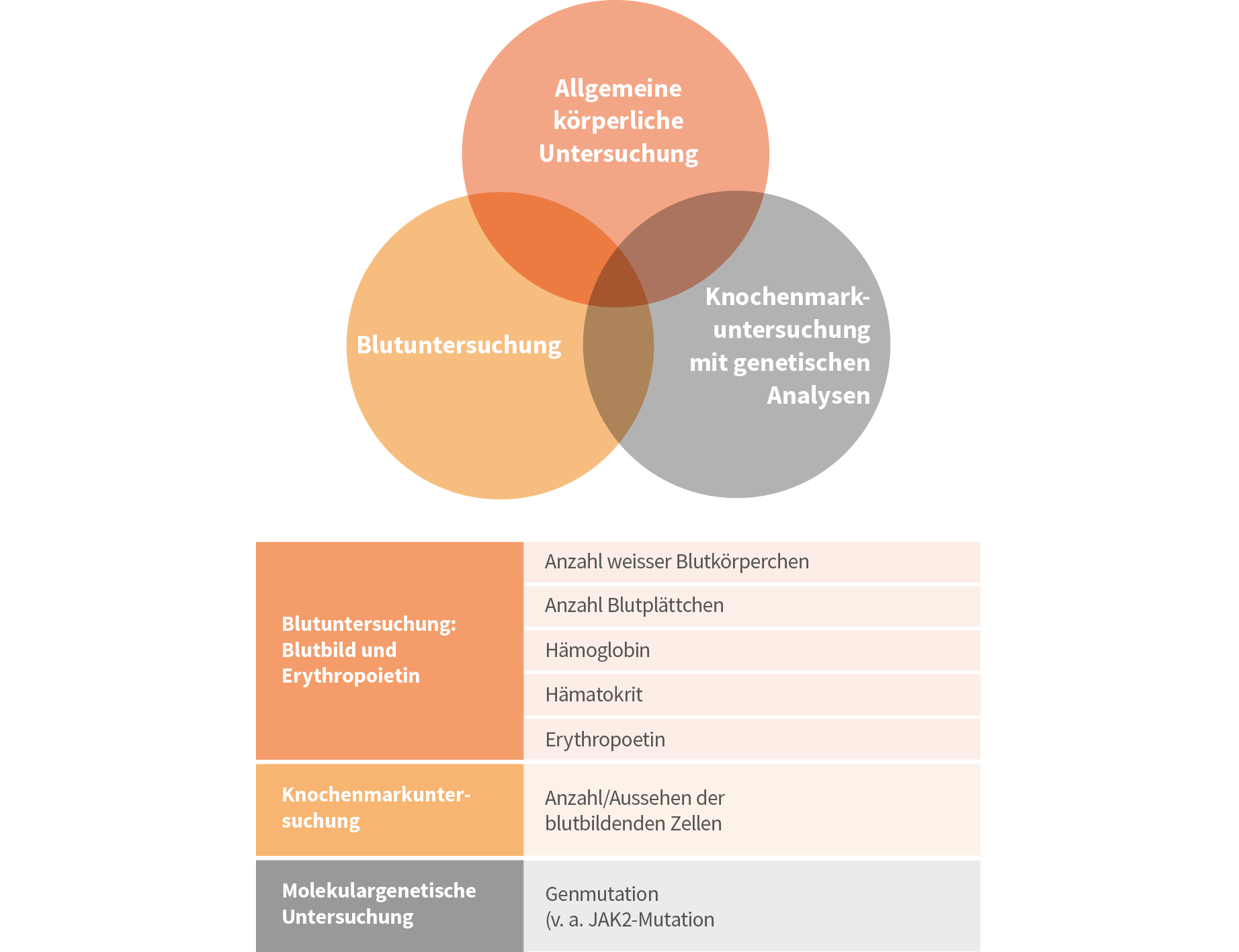 Diagnose Der Polycythaemia Vera Leben Mit PV Diagnose Der Polycythaemia Vera Leben Mit PV